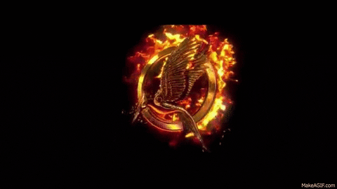 Mockingjay GIF - Find & Share on GIPHY