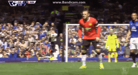 Gyf GIFs - Find & Share on GIPHY