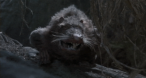 Princess Bride Swamp Rat We're Just Passing Through The Fire