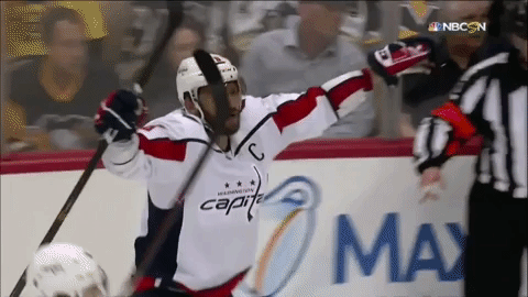 Stanley Cup Nhl GIF - Find & Share on GIPHY