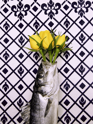 Images Moving GIF by Daily Mail Online - Find & Share on GIPHY