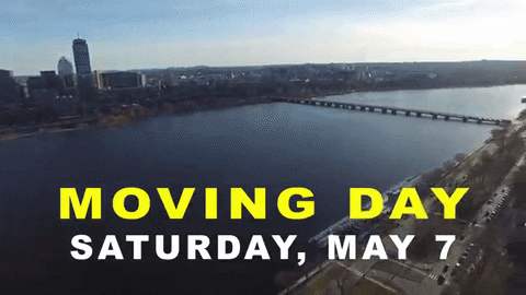 Moving Day Boston GIF by MIT - Find & Share on GIPHY