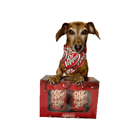 Dr Pepper Drink Sticker by Geekster Pets for iOS & Android | GIPHY
