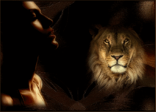 Leo Leo Zodiacsign Lion Discover Share S