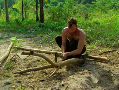 Survivor 31 GIF - Find & Share on GIPHY