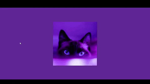 GitHub - PolatB/zoom-effect: Created with Html, CSS and JavaScript.