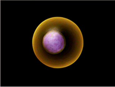 Biology GIF - Find & Share on GIPHY