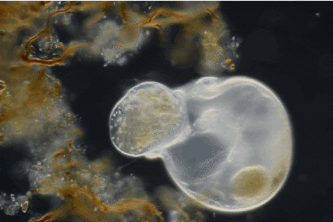 Scene GIF - Find & Share on GIPHY