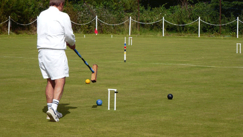 Urze Croquet Gif