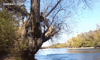 Man Falling GIF - Find & Share on GIPHY