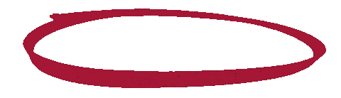 Circle Emphasize Sticker for iOS & Android | GIPHY