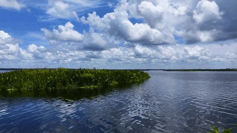 Paynes Prairie Clouds GIF by University of Florida - Find & Share on GIPHY