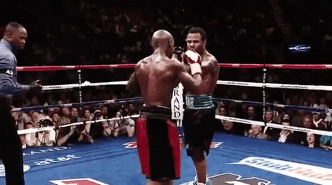 Conor's boxing "resume" makes boxers and boxing trainers laugh | Page 4 ...