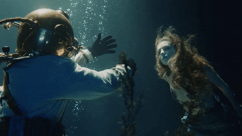 Wild GIF - Find & Share on GIPHY