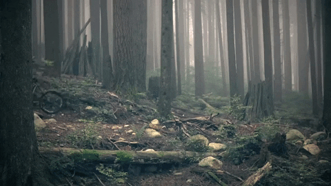 Mountain Bike Mtb GIF by IFHT Films - Find & Share on GIPHY