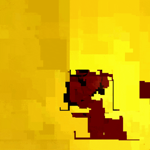 Yellow GIF - Find & Share on GIPHY