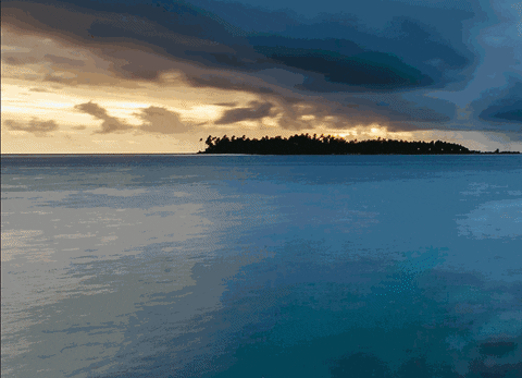 Transparency GIF - Find & Share on GIPHY