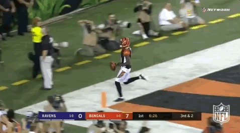Cincinnati Bengals Football GIF by NFL - Find & Share on GIPHY