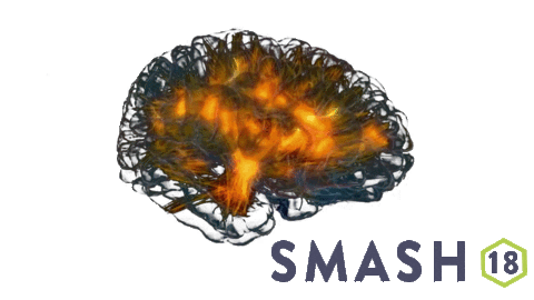 Smash18 Sticker by WGBH Boston for iOS & Android | GIPHY