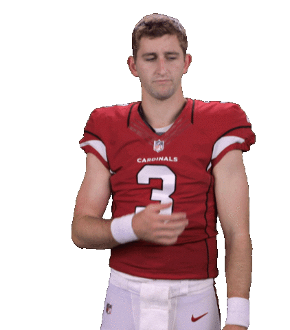 Arizona Cardinals Sticker Sticker by NFL for iOS & Android | GIPHY