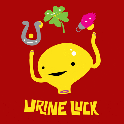 Doctor Pee GIF by I Heart Guts - Find & Share on GIPHY