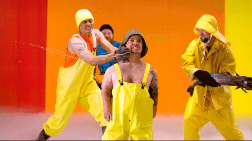 Jackass GIF - Find & Share on GIPHY
