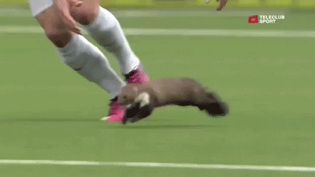 Catching GIF - Find & Share on GIPHY