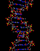 Female Reproductive System Gif