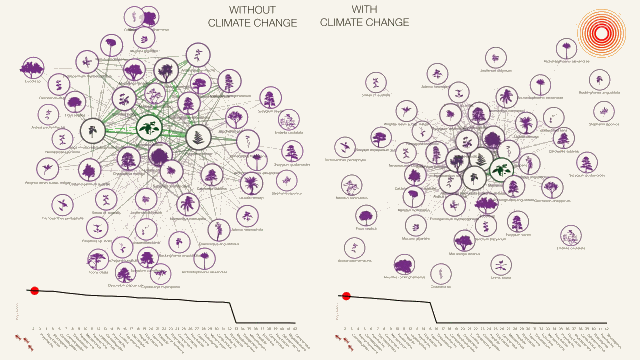 Get Cnn Architecture Diagram Gif
