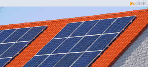 Pv GIF - Find & Share on GIPHY