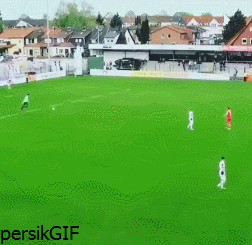 Gool GIF - Find & Share on GIPHY