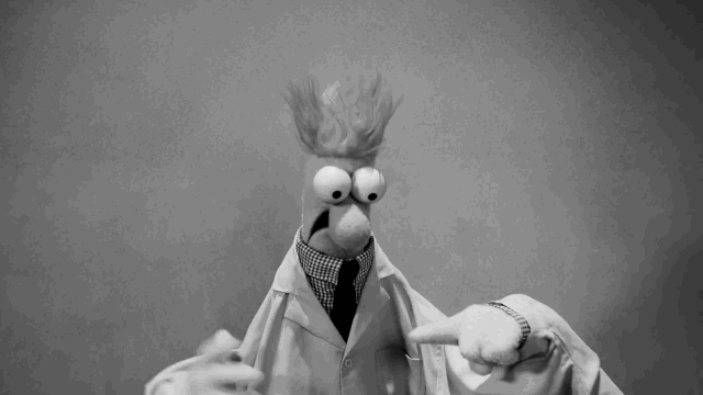 The Muppets GIFs - Get the best GIF on GIPHY