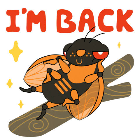 Bug Cicada GIF by Bare Tree Media - Find & Share on GIPHY