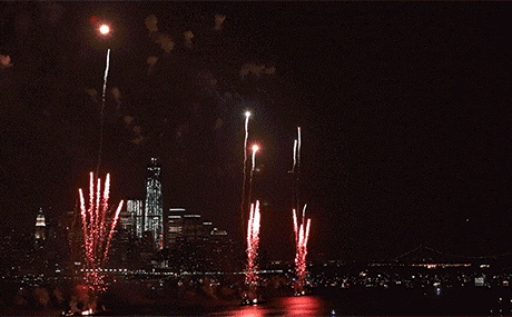 New York City Wtf GIF - Find & Share on GIPHY