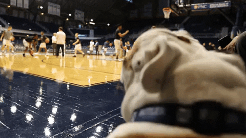 Over It Yes GIF by Butler University - Find & Share on GIPHY