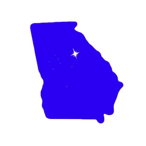 Election Georgia GIF - Find & Share on GIPHY