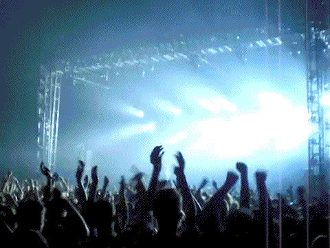 Party GIF - Find & Share on GIPHY