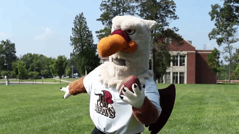 Mascot Griffins GIF by Gwynedd Mercy University - Find & Share on GIPHY