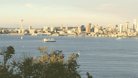 Seattle GIF - Find & Share on GIPHY