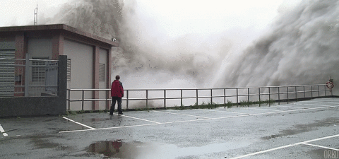 Taiwan Typhoon GIF - Find & Share on GIPHY