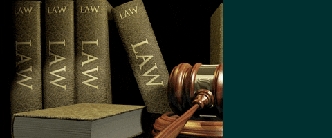 Law GIFs - Find & Share on GIPHY