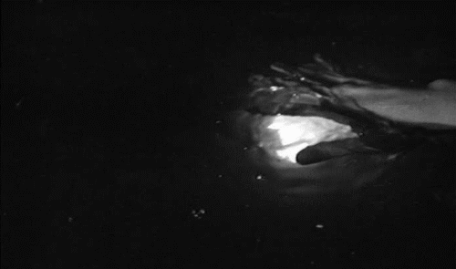 Shadows GIFs - Find & Share on GIPHY