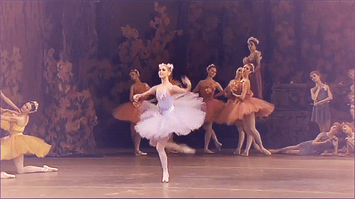 Don Quixote Ballet GIF - Find & Share on GIPHY
