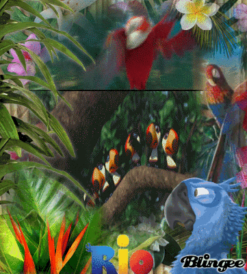 Rio GIF - Find & Share on GIPHY