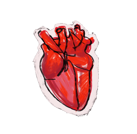Heart Anatomy Sticker for iOS & Android | GIPHY