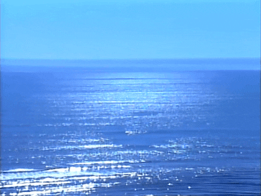 Summer Sea GIF - Find & Share on GIPHY