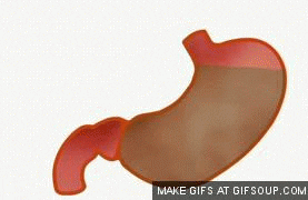 Stomach GIFs - Find & Share on GIPHY