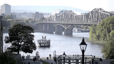 Oiaf GIF by Ottawa International Animation Festival - Find & Share on GIPHY