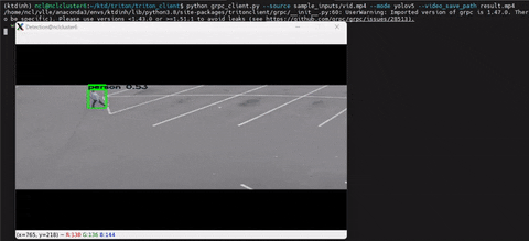 GitHub - dinhkt/triton-trt-object-detection: Deployment of quantized TRT object detection models ...