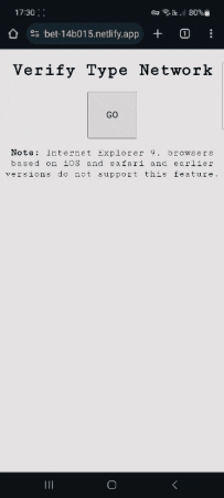 GitHub - NiverMtz/verify-type-connection: POC using navigator ...